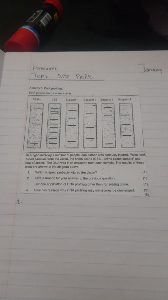 Activity 3: DNA profiling DNA profiles from a crime scene. In a fight in..