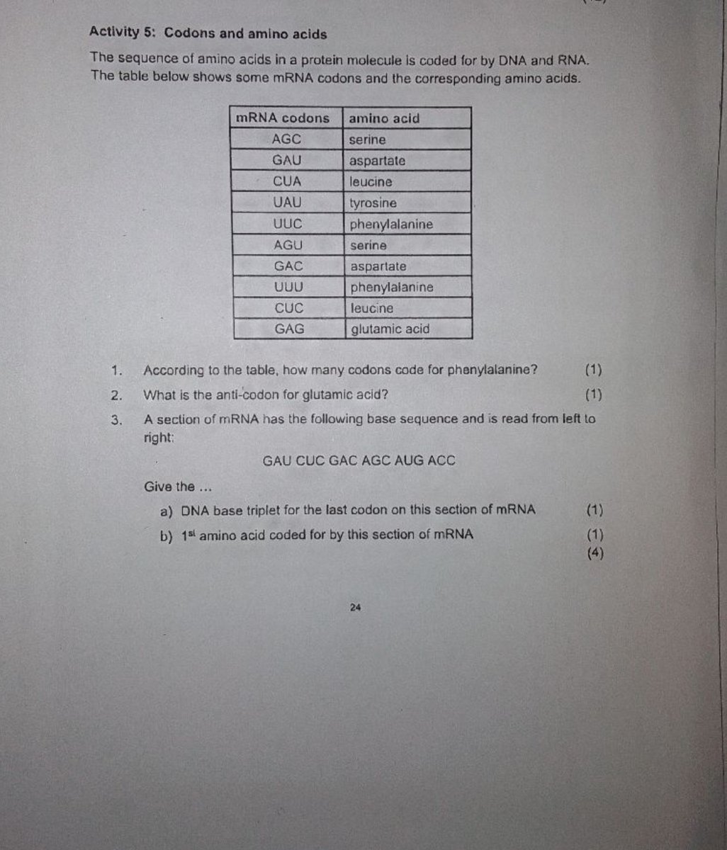 Activity 5: Codons and amino acids The sequence of amino acids in a prote..