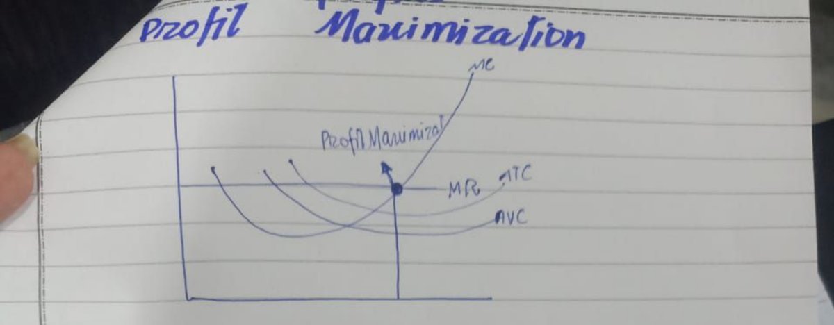 The image shows a diagram related to "Profit Maximization" in economics,