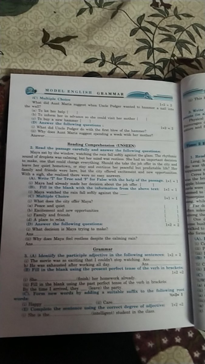 MODEL ENGLISH GRAMMAR 1. Multiple Choice What did Aunt Maria suggest whe..