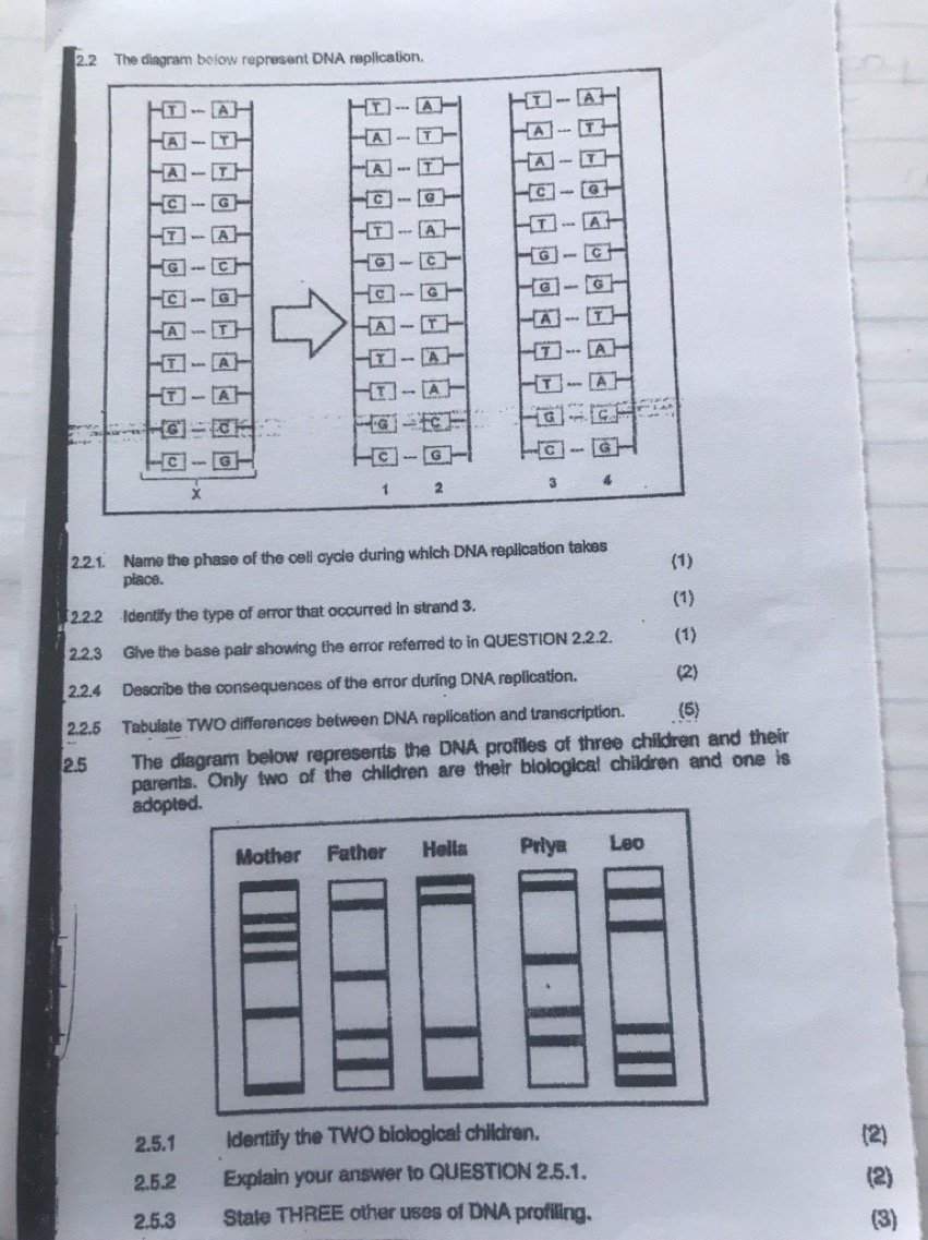2.2 The diagram below represents DNA replication. [Diagram showing DNA r..