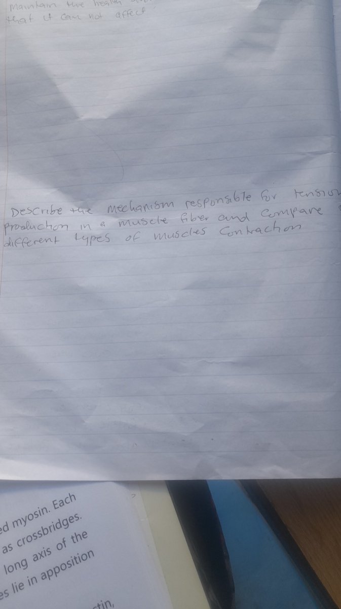 Describe the mechanism responsible for tension production in a muscle fib..