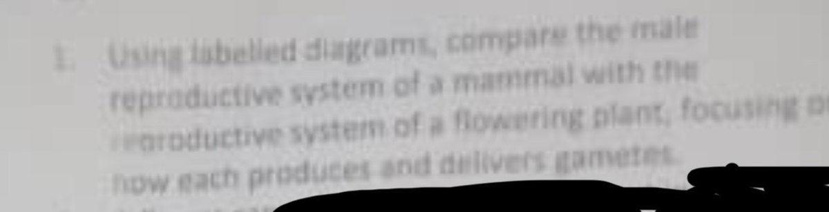 Using labelled diagrams, compare the male reproductive system of a mammal..
