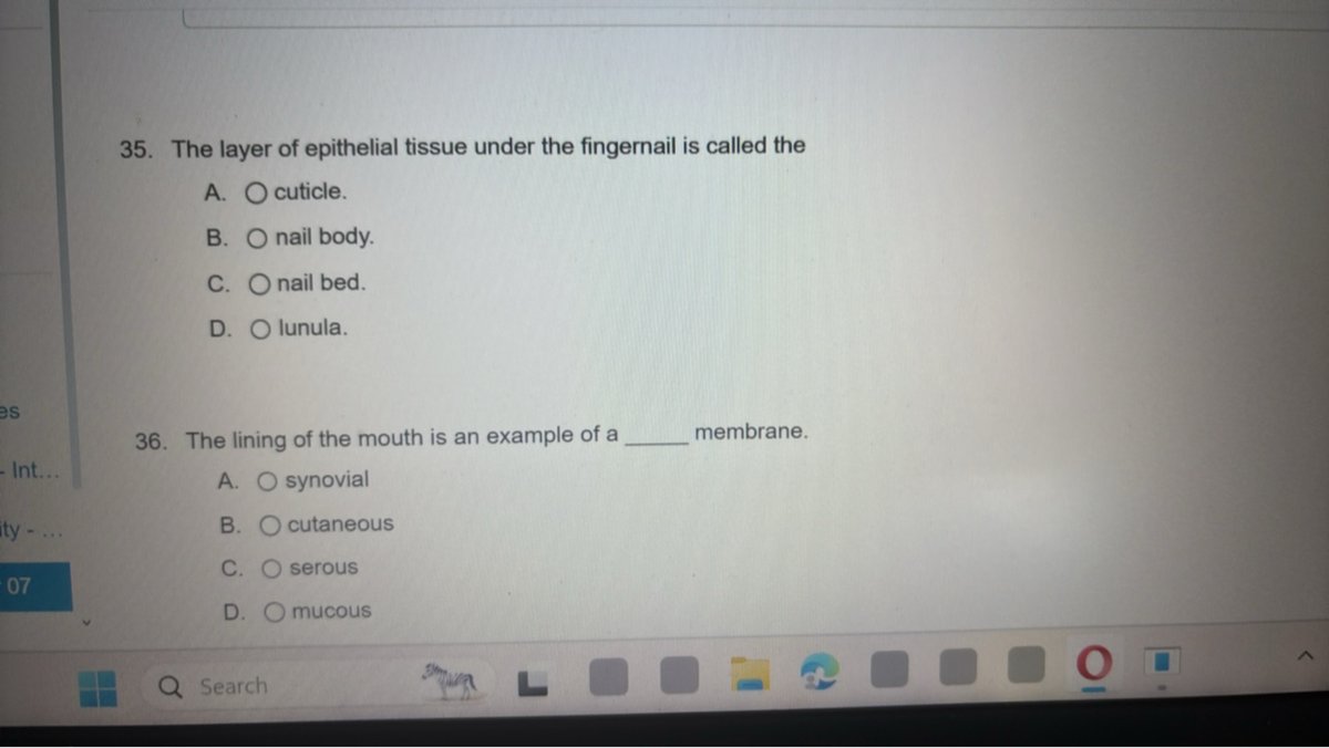 The layer of epithelial tissue under the fingernail is called the A. cuti..