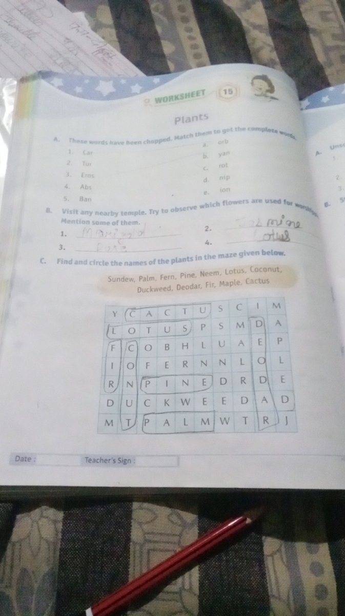 Here is a worksheet on "Plants". A. These words have been chopped. Match..