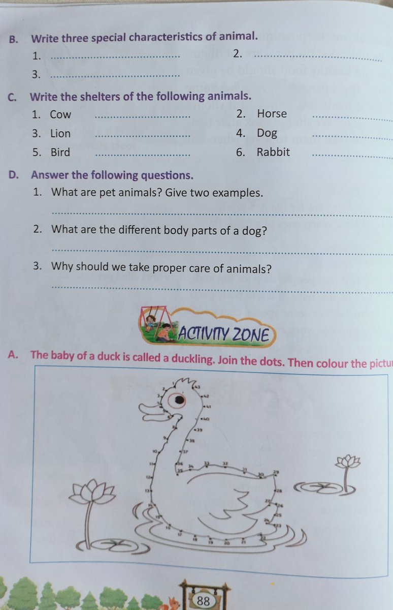 B. Write three special characteristics of animal. C. Write the shelters o..