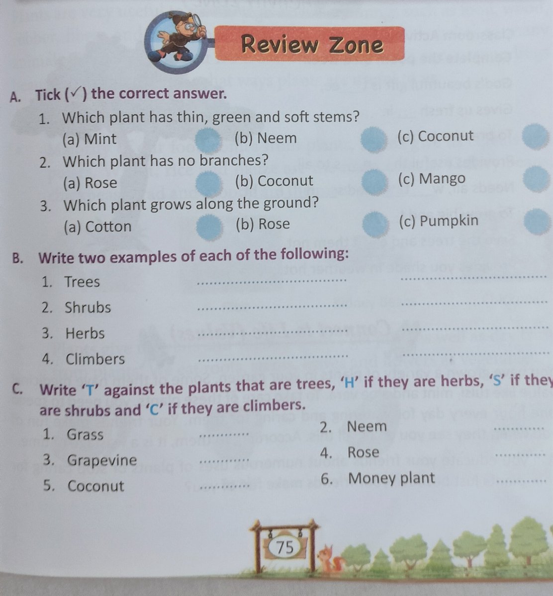 A. Tick ( ) the correct answer. Which plant has thin, green and soft stem..