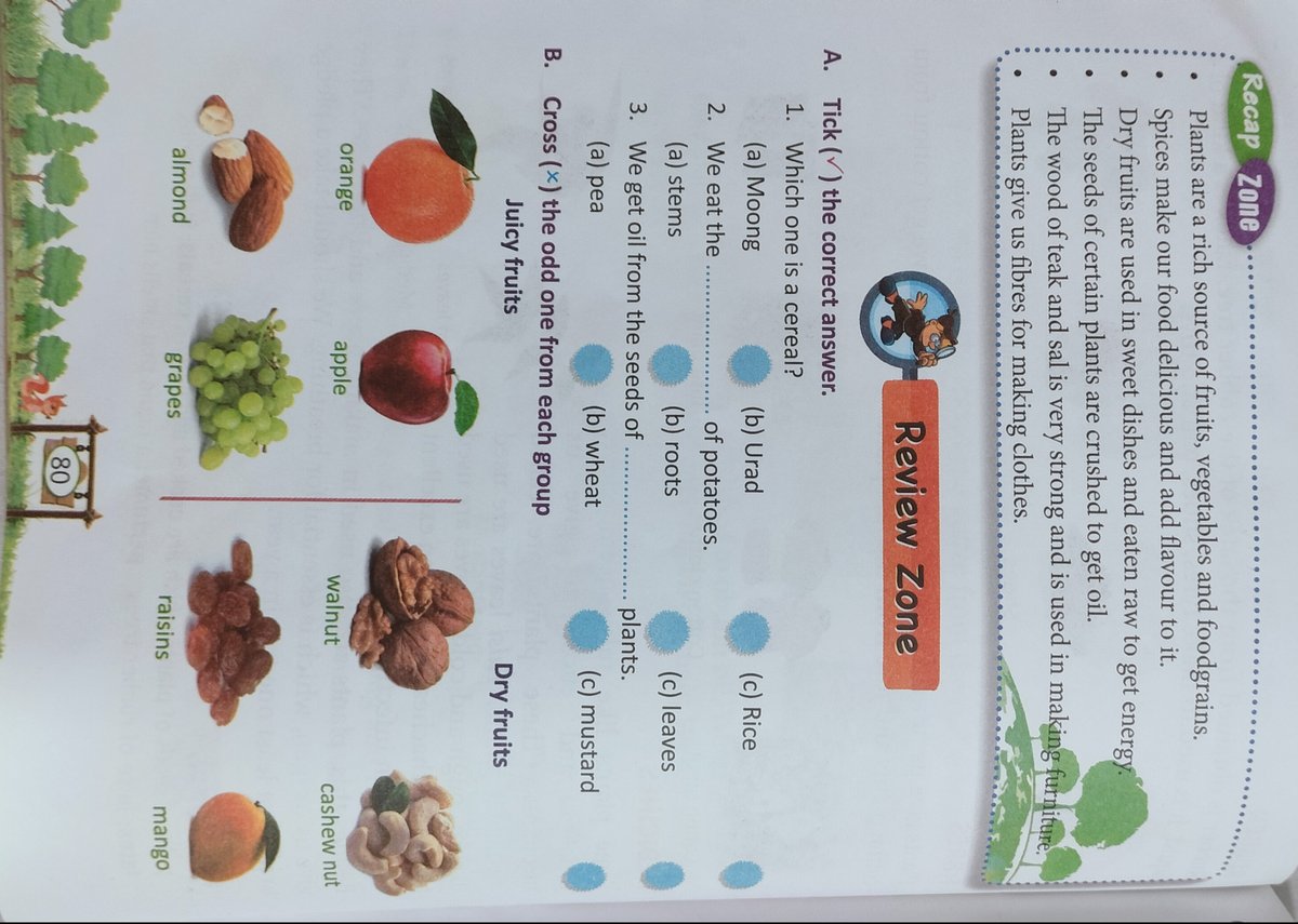 Here's the question image: A. Tick ( ) the correct answer. Which one is
