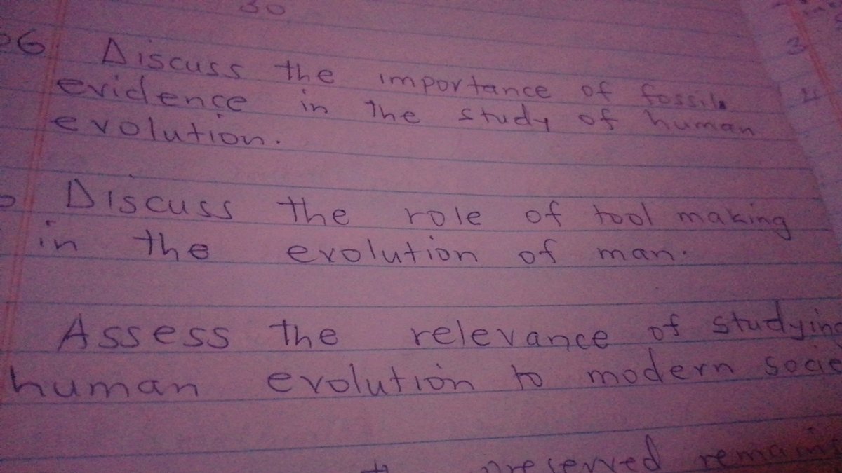 Discuss the importance of fossil evidence in the study of human evolution..