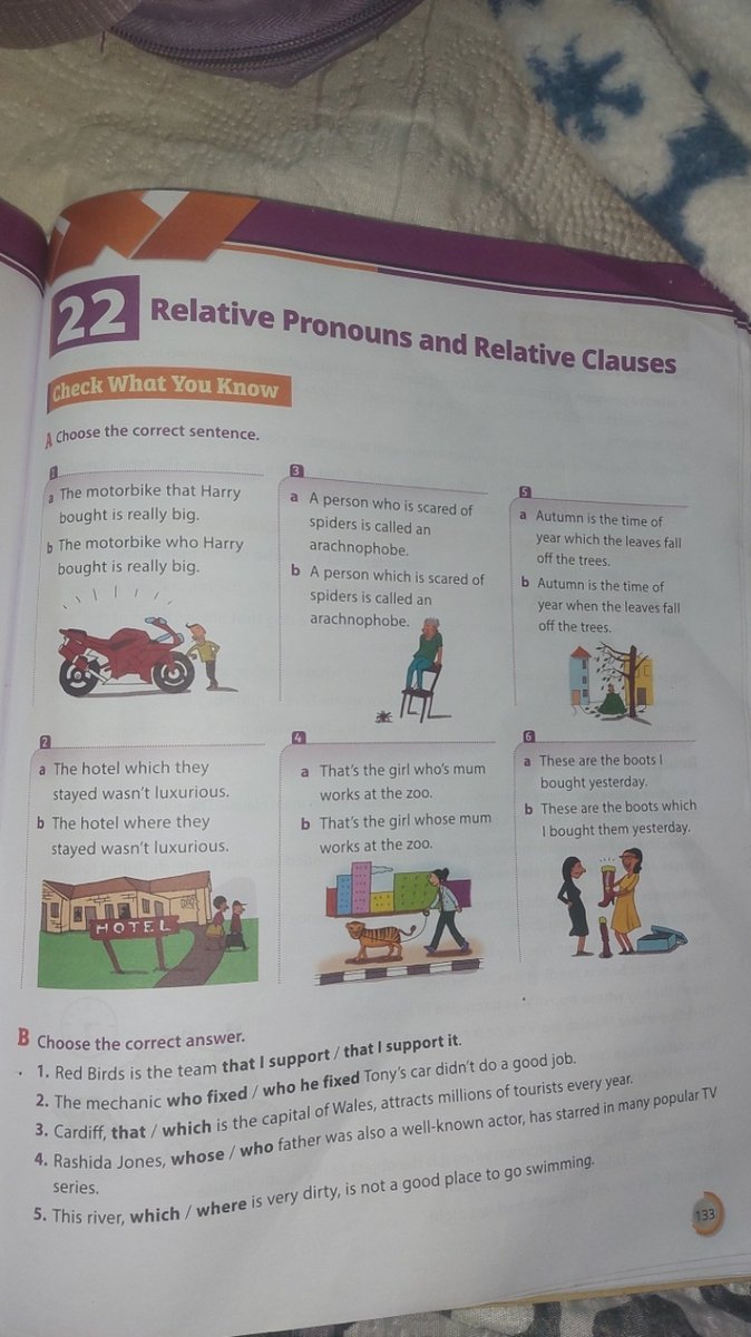 Relative Pronouns and Relative Clauses A. Choose the correct sentence.