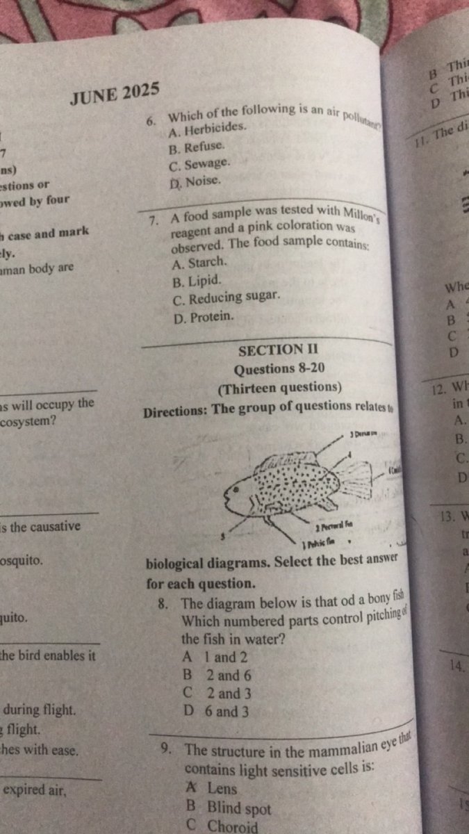 Here are some questions from a June 2025 exam paper: SECTION II Question..