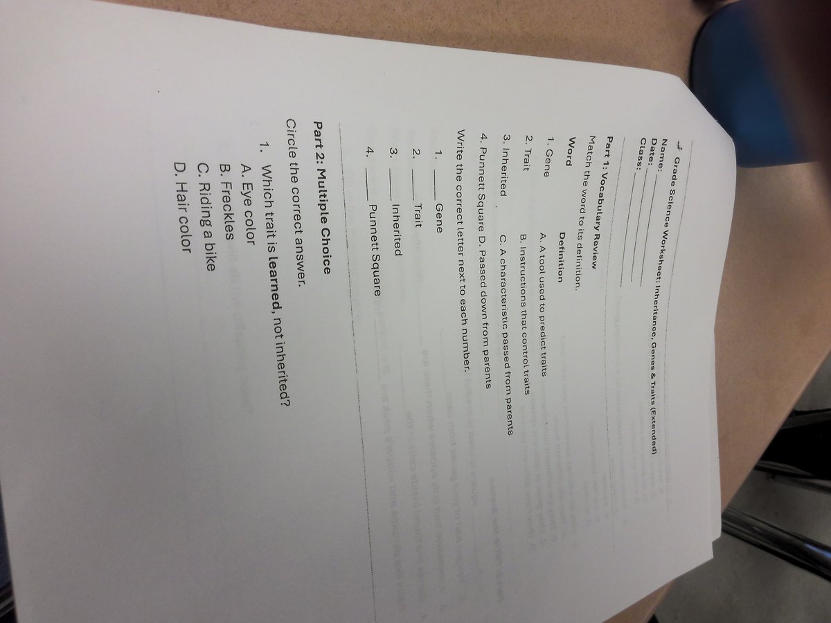 Grade Science Worksheet: Inheritance, Genes & Traits (Extended) Part 1: