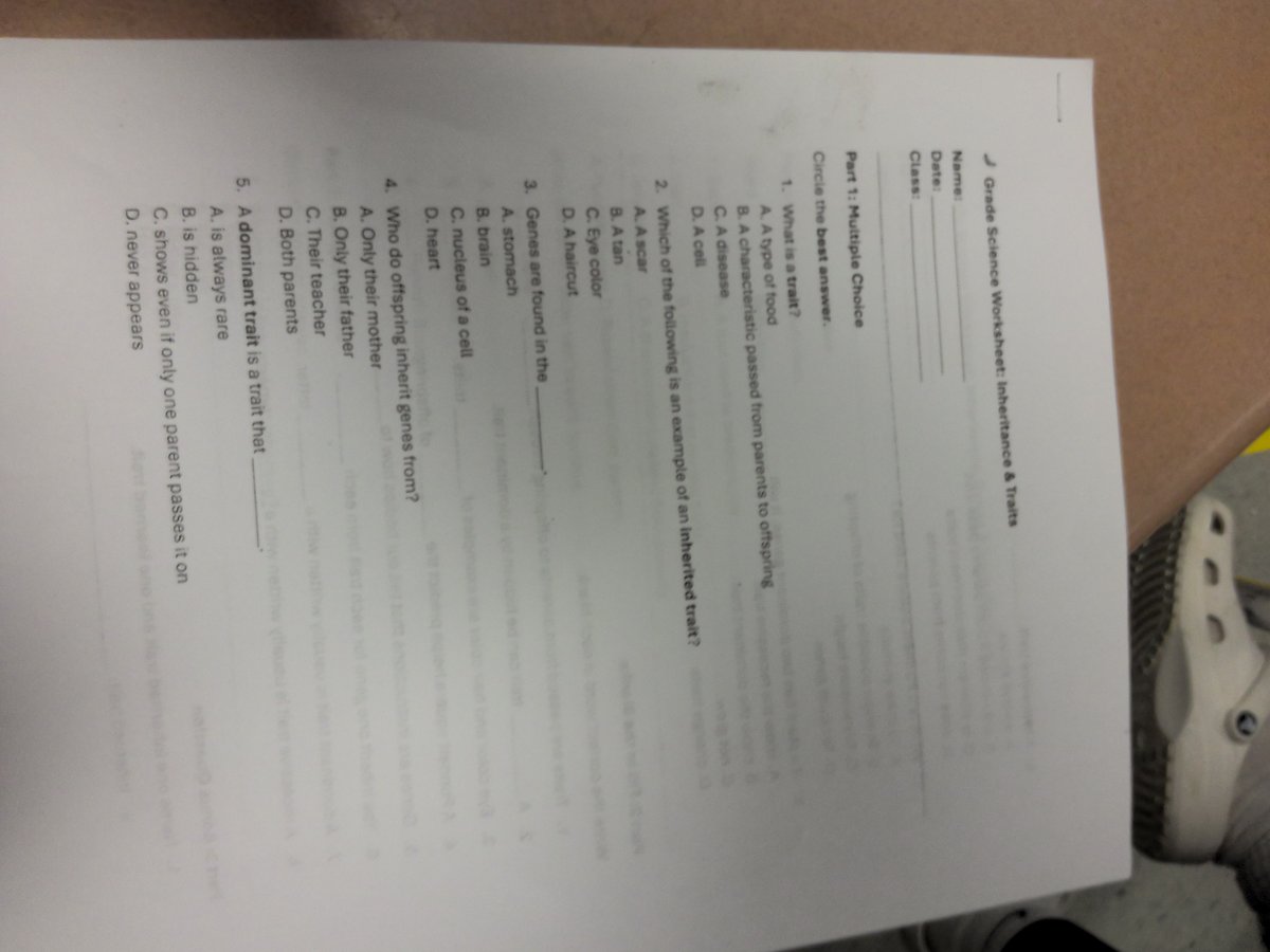 Grade Science Worksheet: Inheritance & Traits Name: Date: Class: Part 1:..
