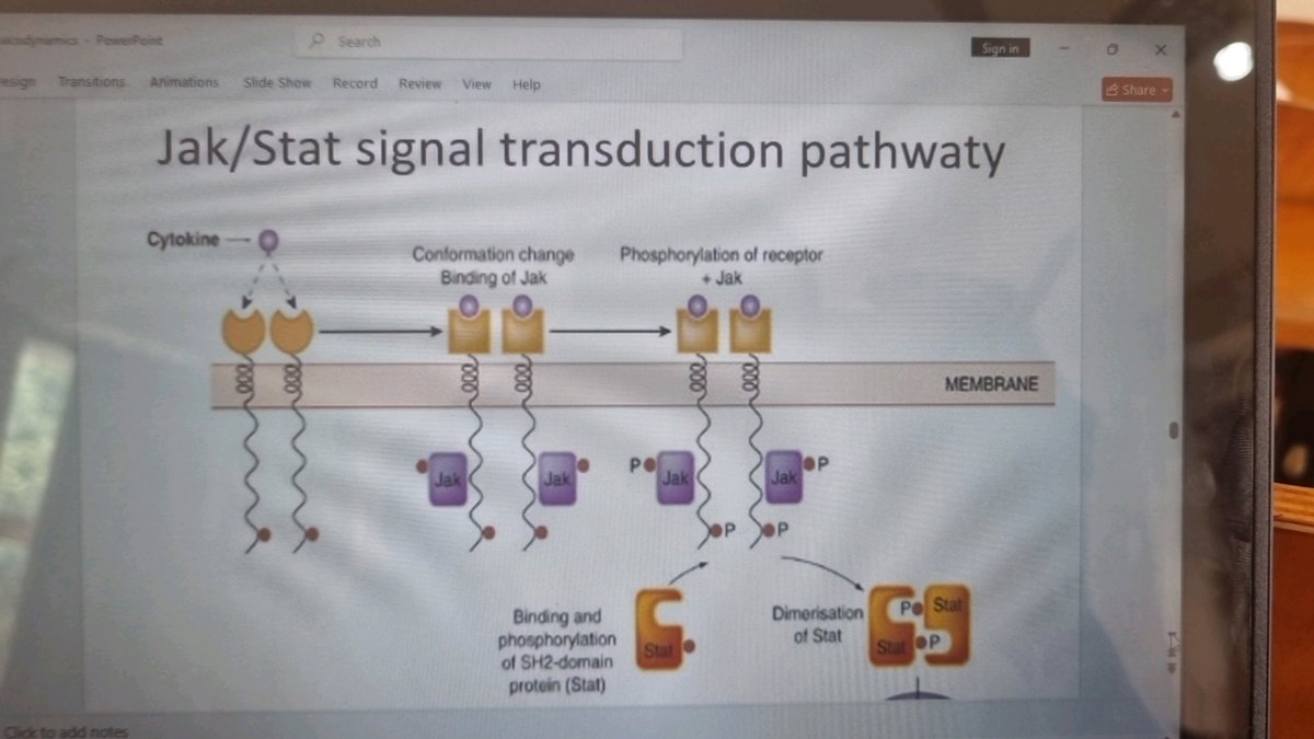 The image displays a diagram titled "Jak/Stat signal transduction pathway..
