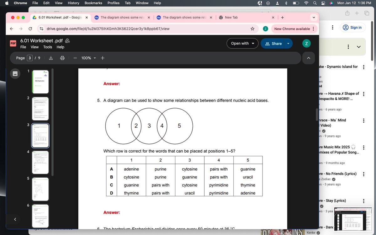 A diagram can be used to show some relationships between different nuclei..