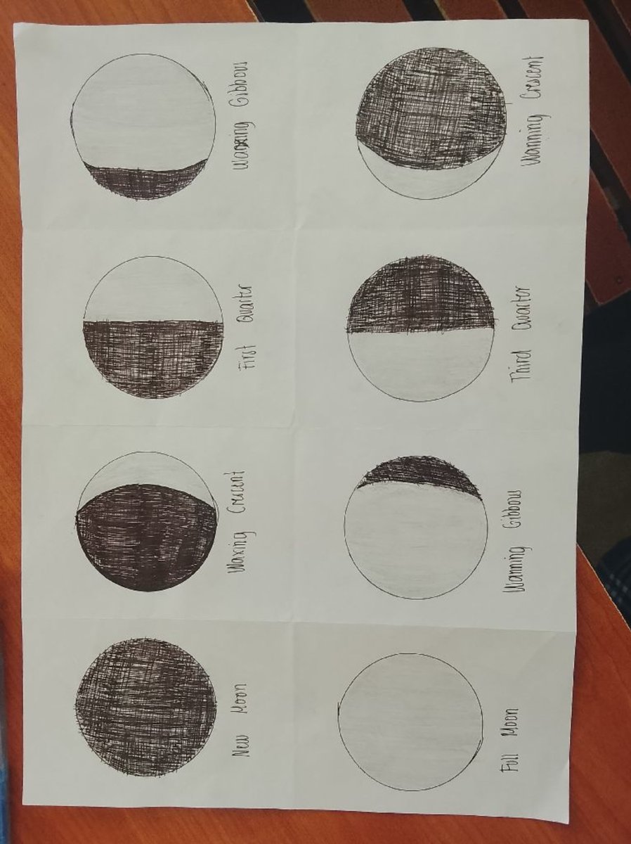 The image provided shows different phases of the moon. The labels are: Ne..