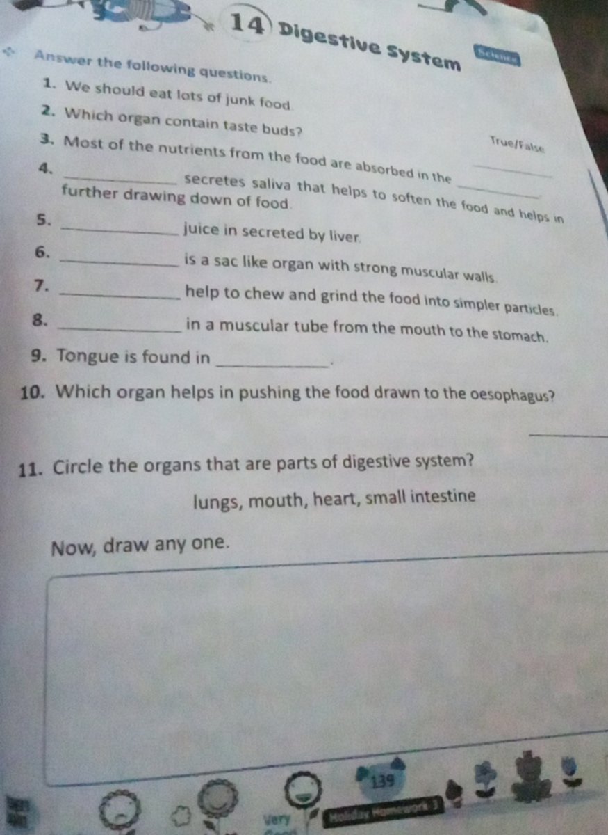 Answer the following questions. We should eat lots of junk food. (True/F..