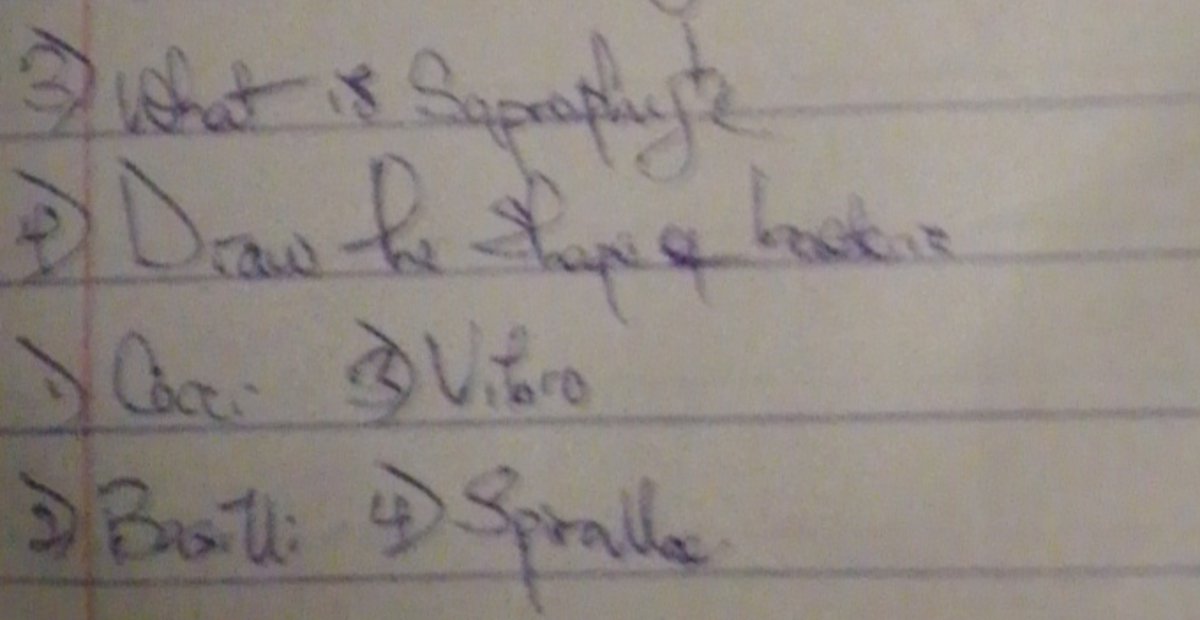 3) What is Saprophyte? 4) Draw the shape of bacteria: 1) Cocci 2) B..