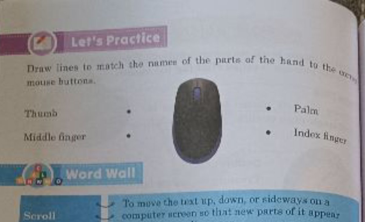 Draw lines to match the names of the parts of the hand to the mouse butto..