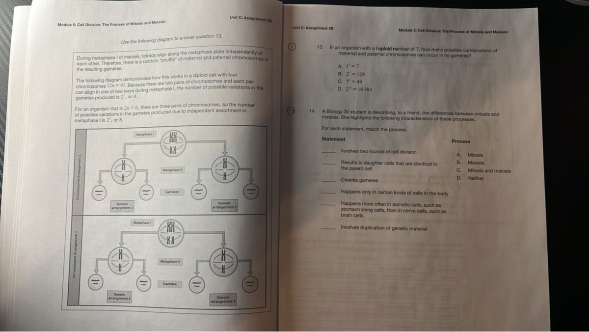 Module 5: Cell Division: The Process of Mitosis and Meiosis Unit C: Assi..