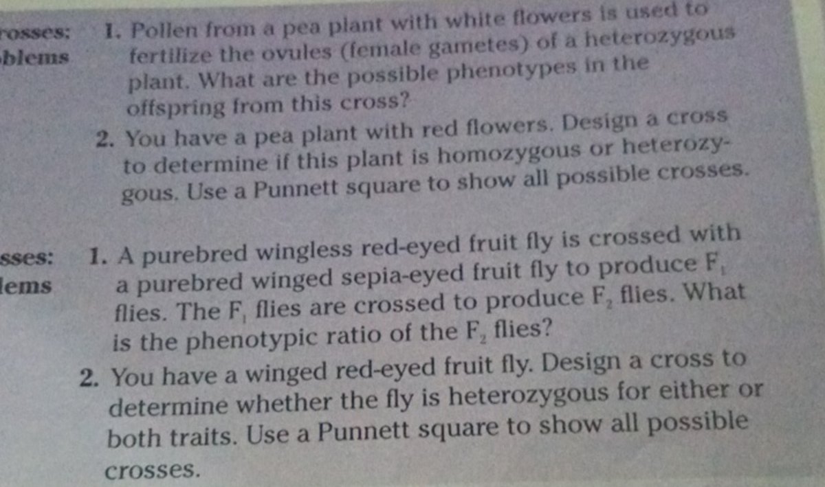 Here are some genetics problems: Problems 1 (Pea Plants): Pollen from a
