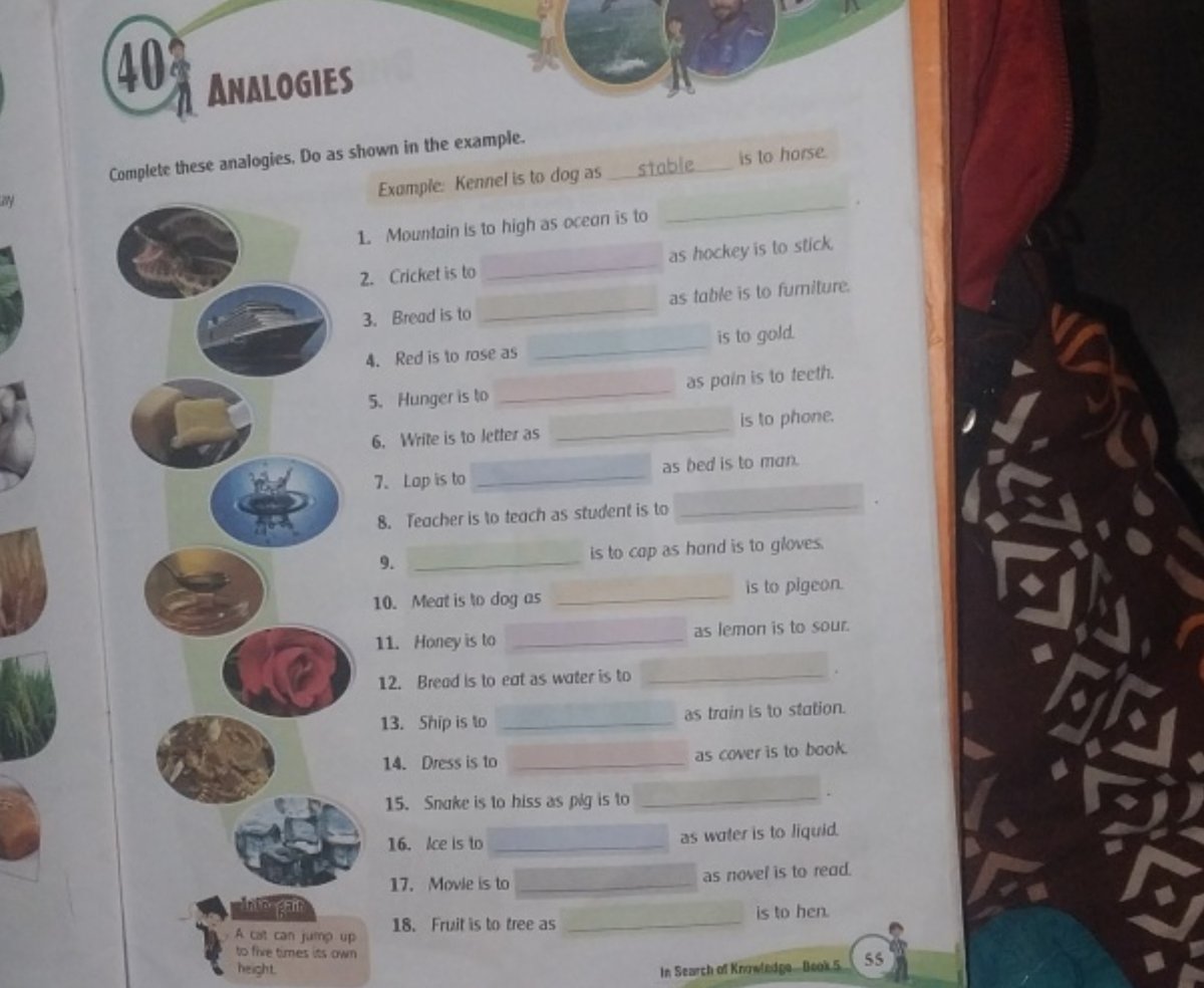 Complete these analogies. Do as shown in the example. Example: Kennel is..