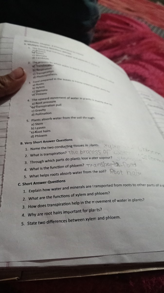 B. Very Short Answer Questions Name the two conducting tissues in plants...