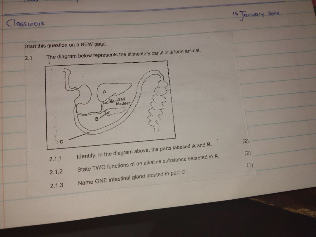 Start this question on a NEW page. 2.1 The diagram below represents the