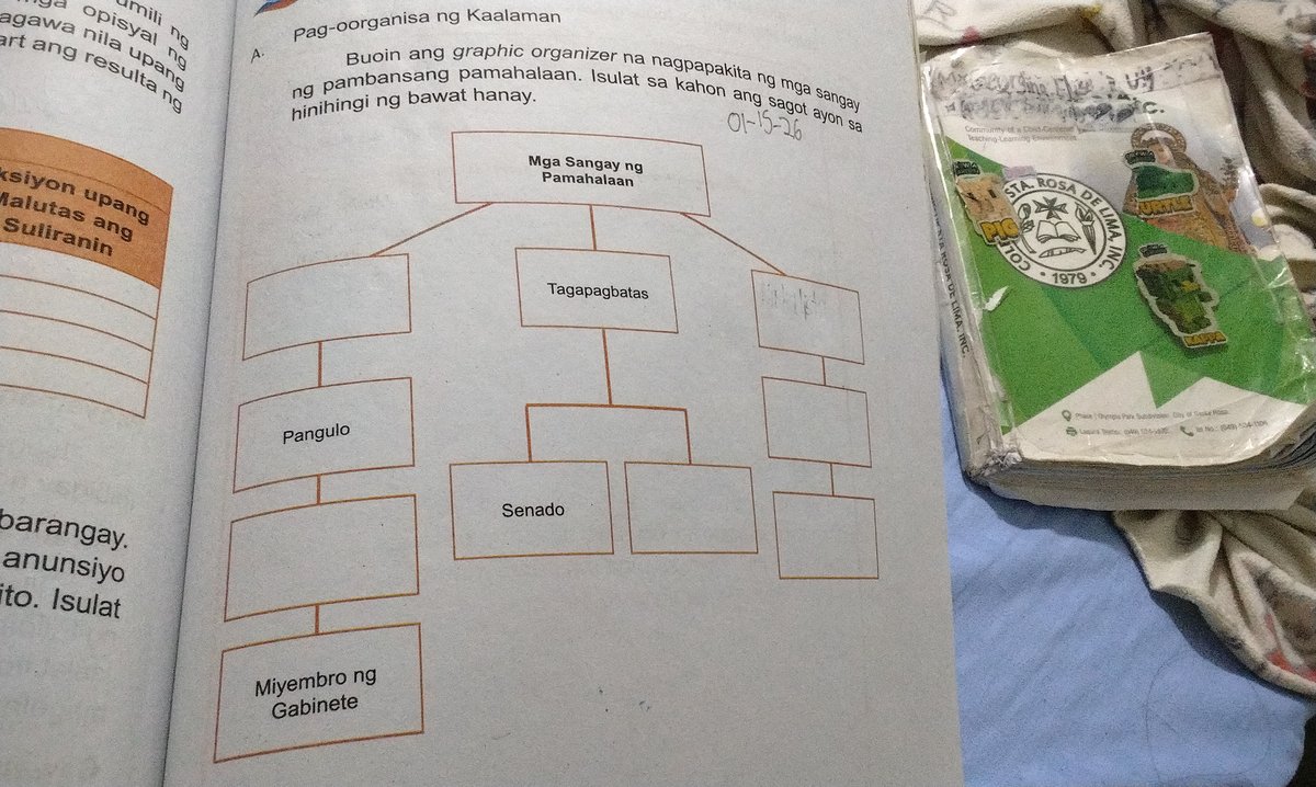 Buoin ang graphic organizer na nagpapakita ng mga sangay ng pambansang pa..