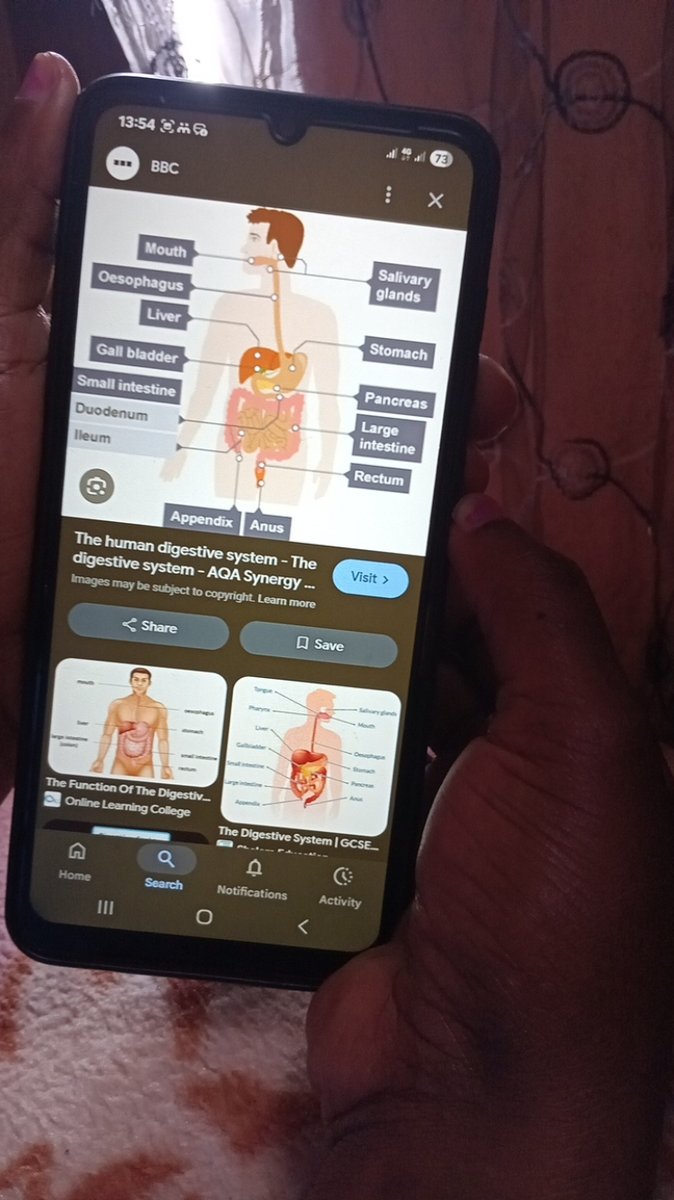 The human digestive system - The digestive system - AQA Synergy Images m..