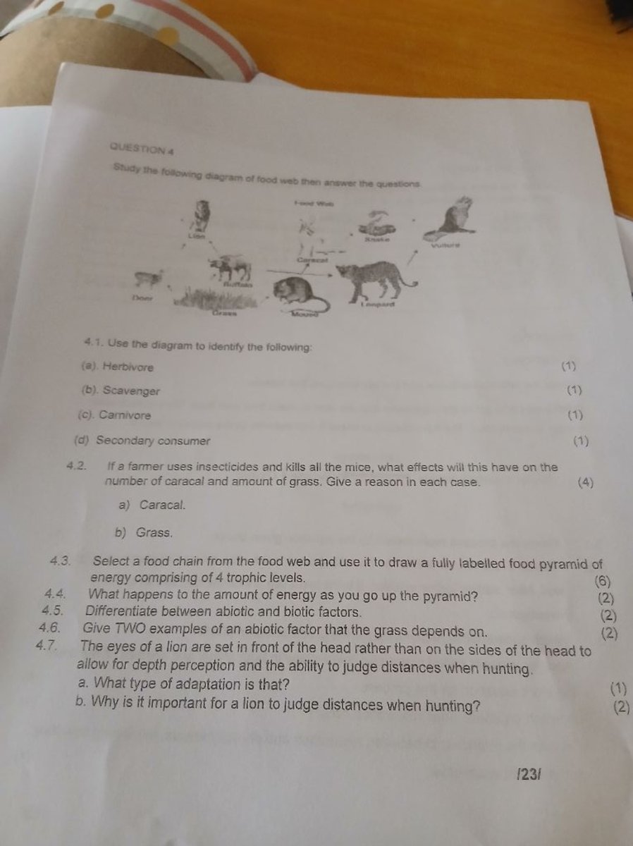 QUESTION 4 Study the following diagram of food web then answer the questi..