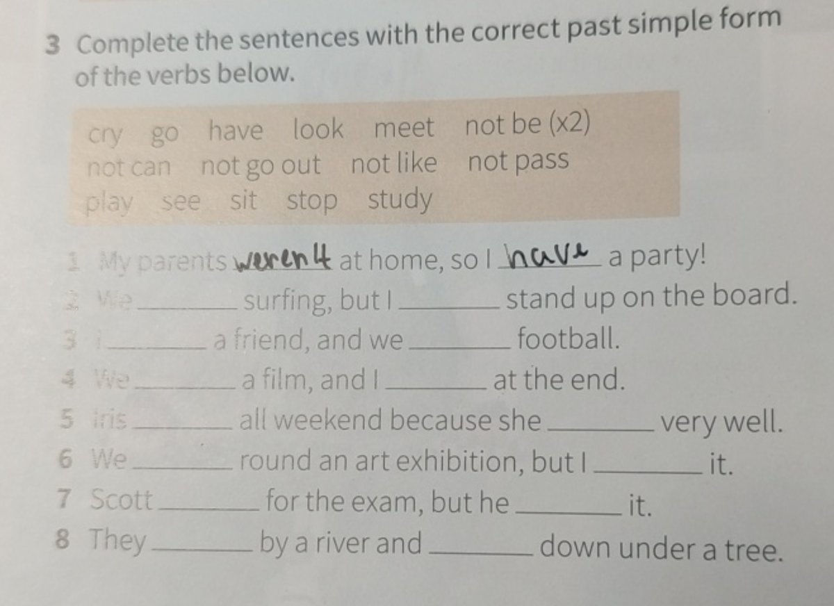 Complete the sentences with the correct past simple form of the verbs bel..