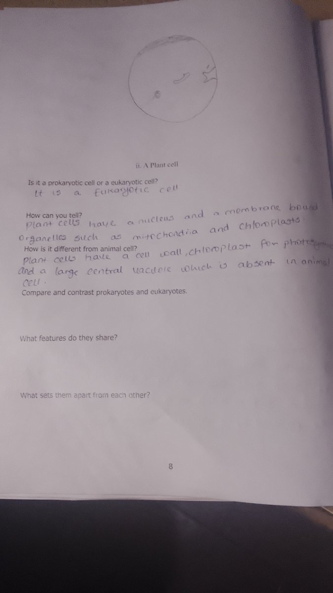 ii. A Plant cell Is it a prokaryotic cell or a eukaryotic cell? It is a