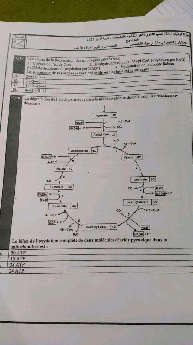 Q19. Les étapes de la β-oxydation des acides gras saturés sont: 1: Clivag..