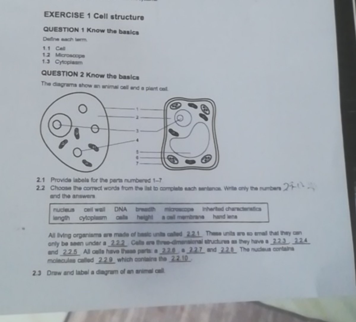 EXERCISE 1 Cell structure QUESTION 1 Know the basics Define each term: 1..