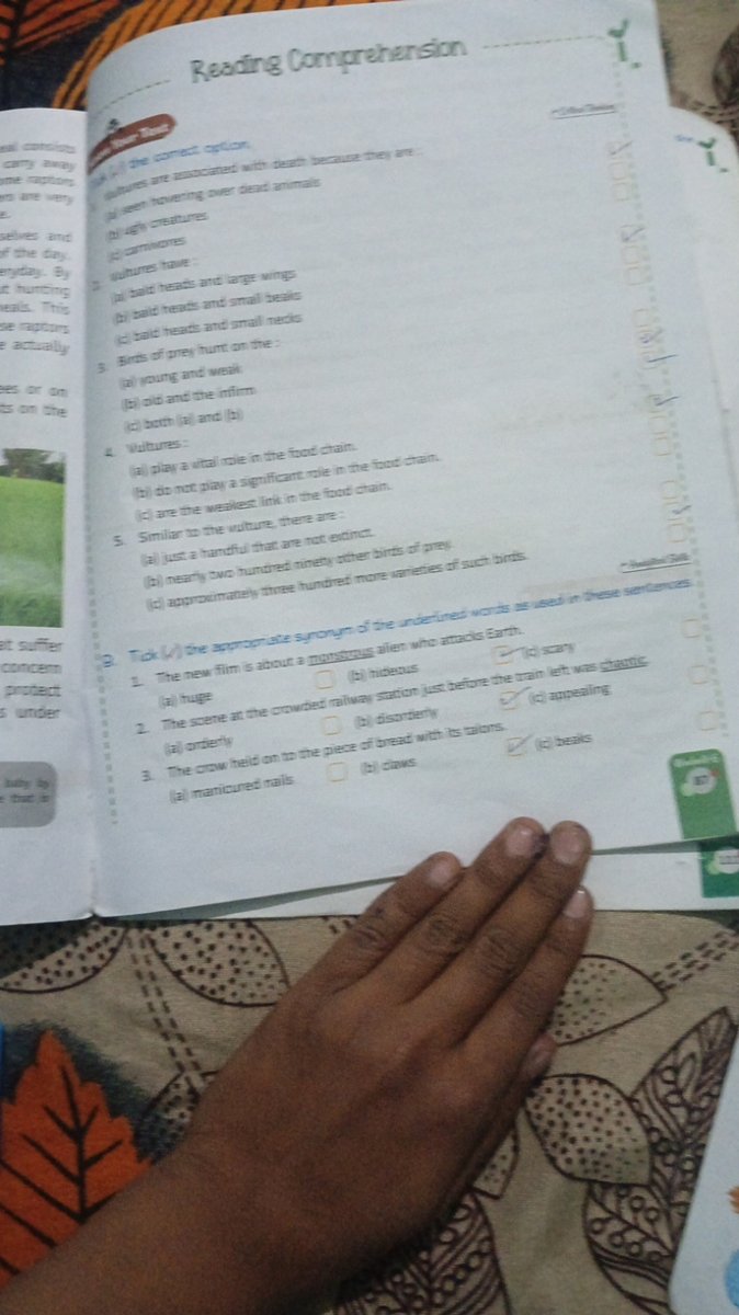 Reading Comprehension A. Tick ( ) the correct option. Vultures are asso..
