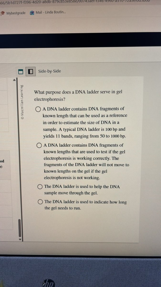 What purpose does a DNA ladder serve in gel electrophoresis? A. A DNA la..