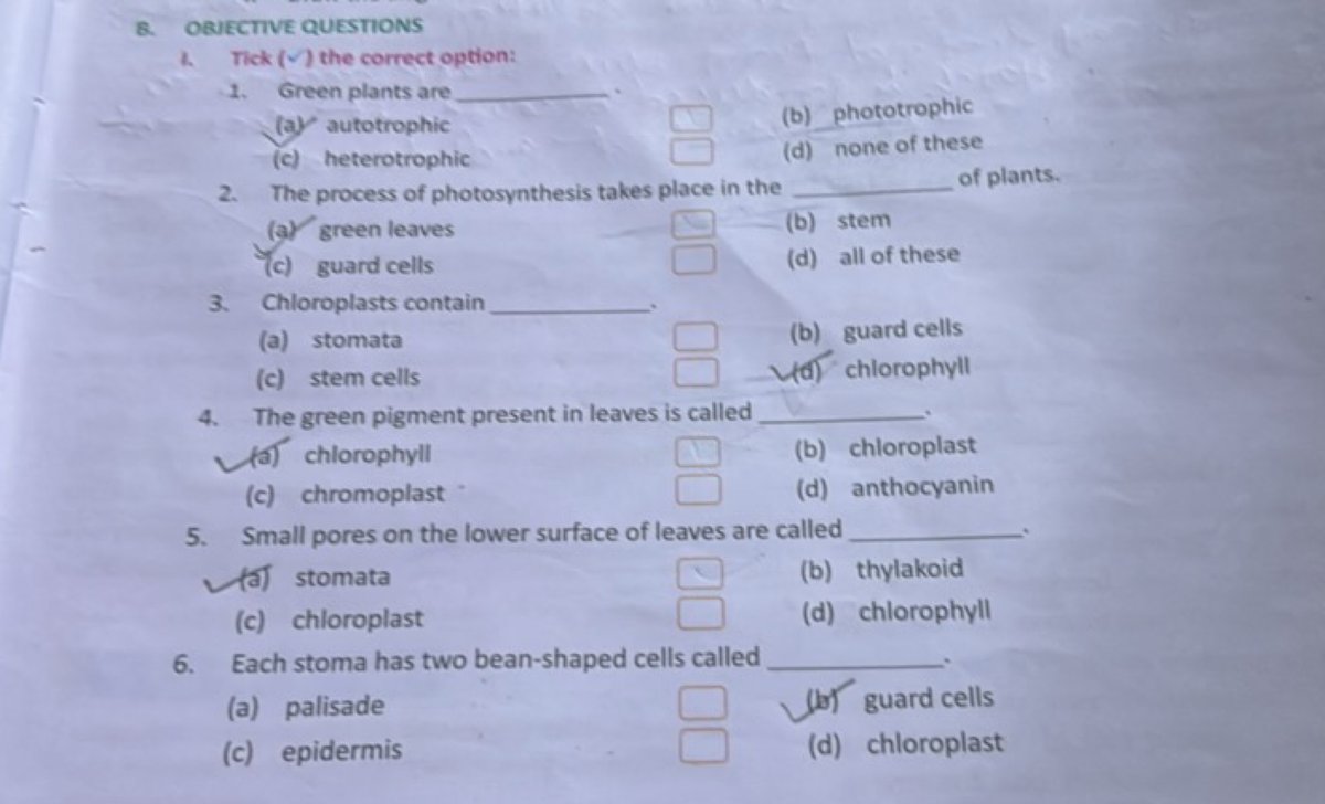 B. OBJECTIVE QUESTIONS Tick ( ) the correct option: Green plants are