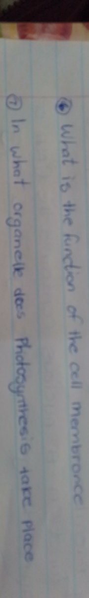 What is the function of the cell membrane? In what organelle does photosy..