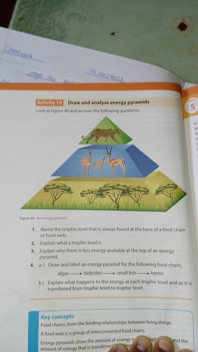 Activity 10 Draw and analyse energy pyramids Look at Figure 40 and answer..