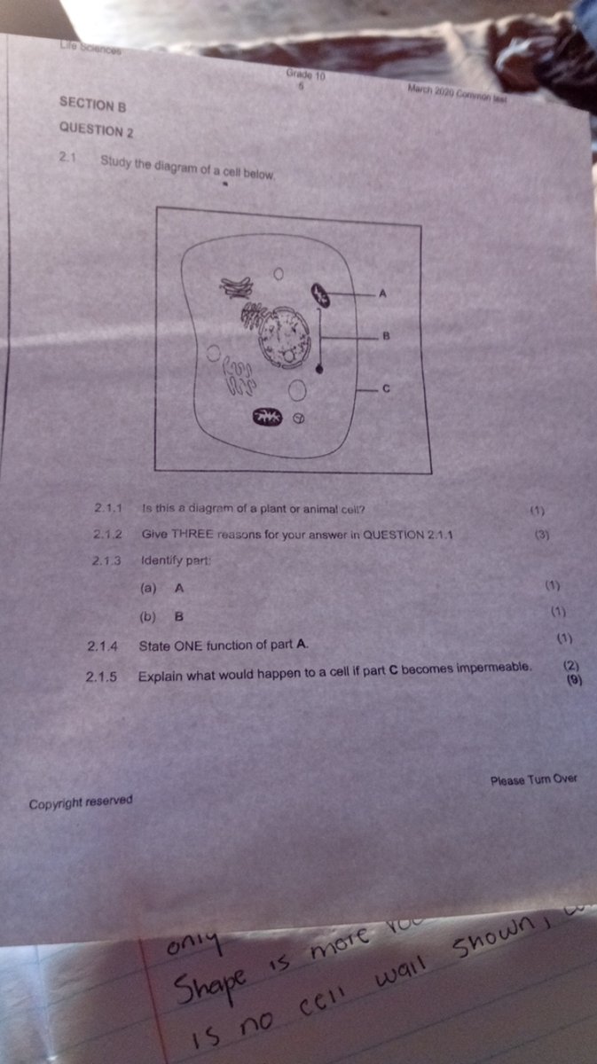 SECTION B QUESTION 2 2.1 Study the diagram of a cell below. (Diagram of