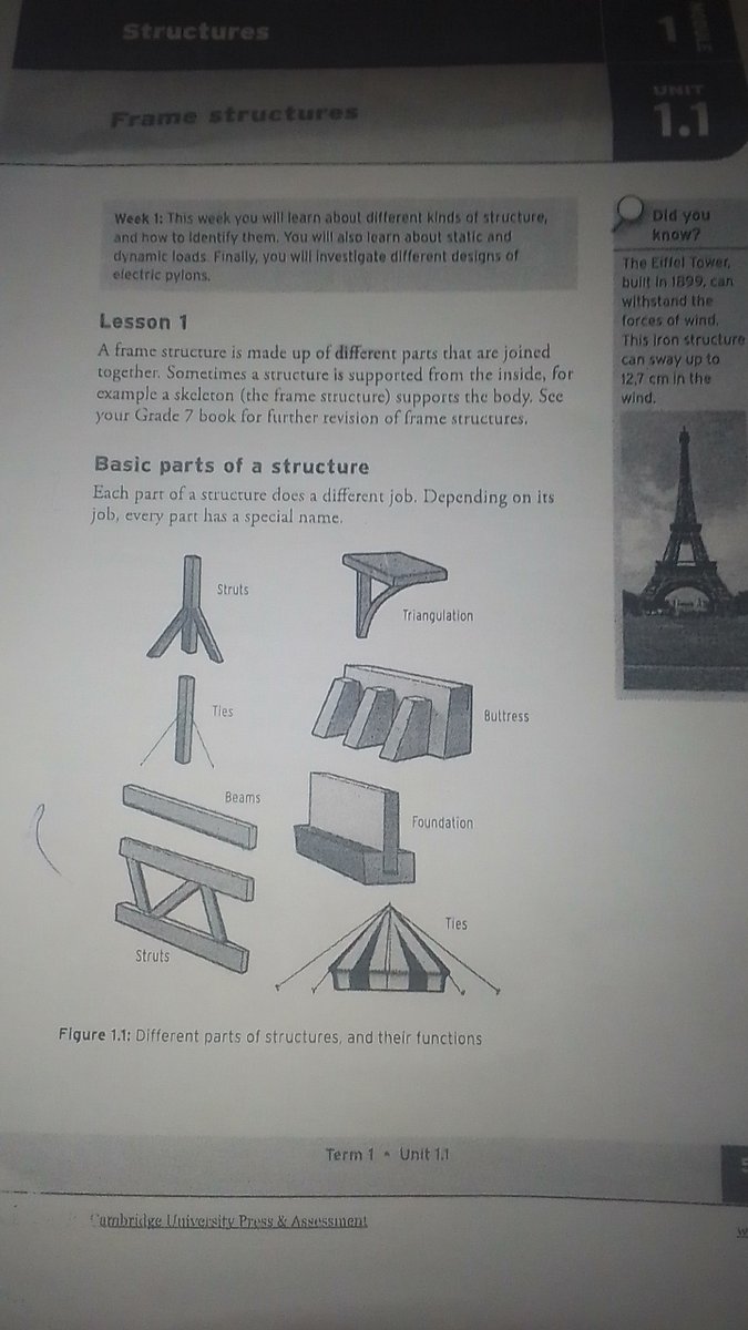 Structures Frame structures Week 1: This week you will learn about diffe..