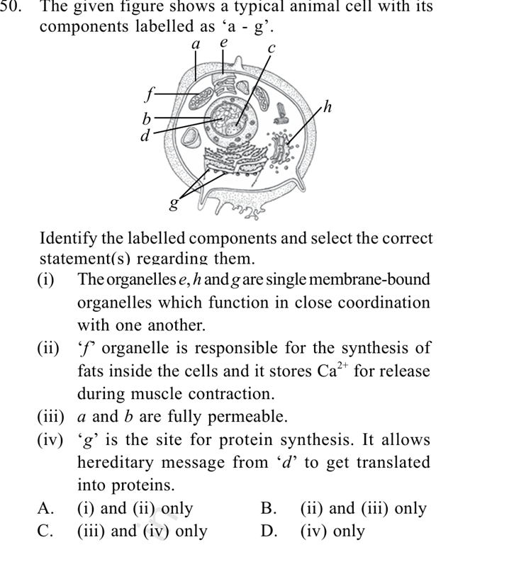 The given figure shows a typical animal cell with its components labelled..