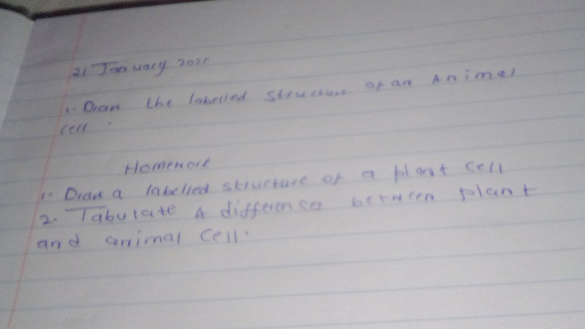 21 January 2025 Draw the labelled structure of an Animal cell. Homework..