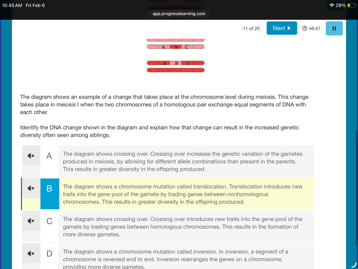 The diagram shows an example of a change that takes place at the chromoso..