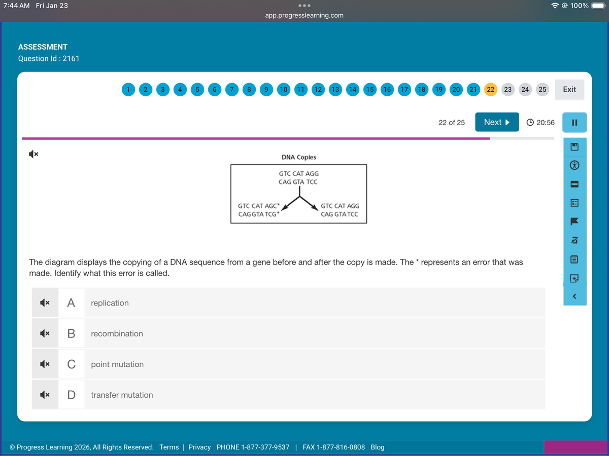 The diagram displays the copying of a DNA sequence from a gene before and..