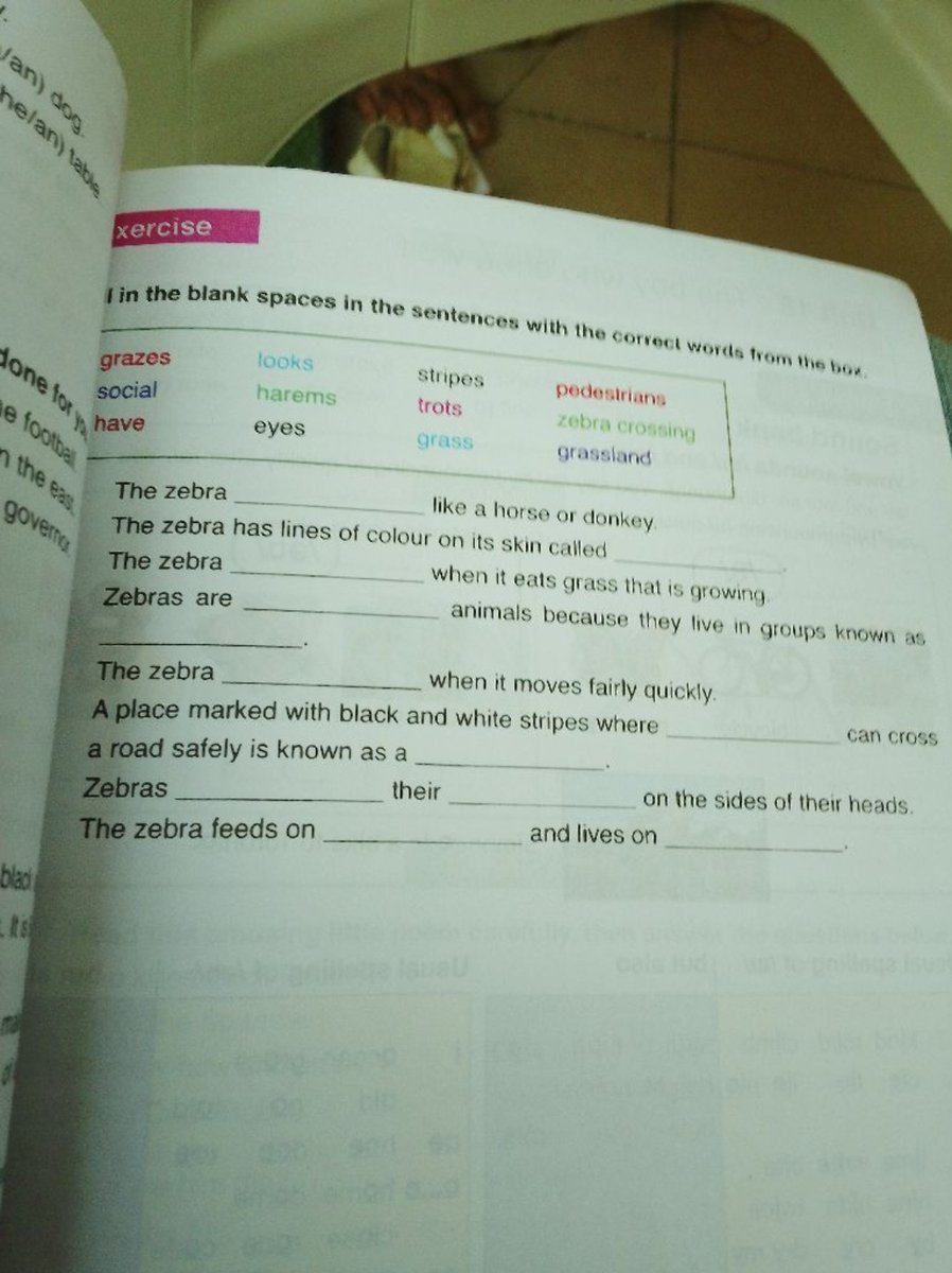 Fill in the blank spaces in the sentences with the correct words from the..
