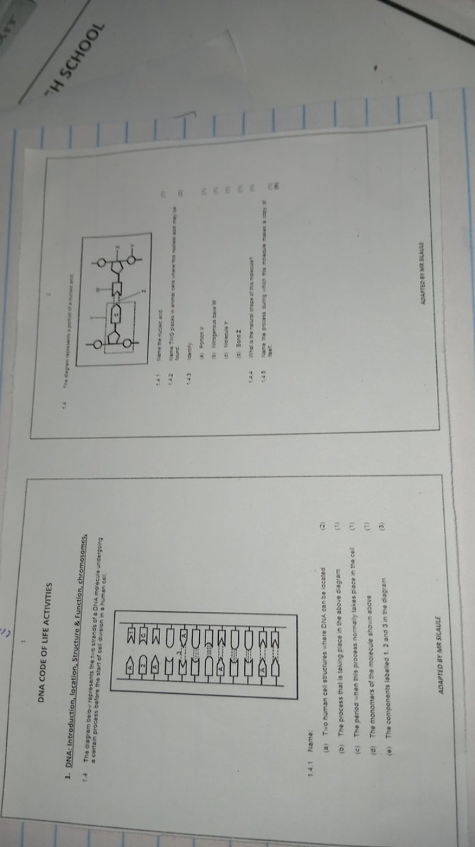 DNA CODE OF LIFE ACTIVITIES 1. DNA: Introduction, location, Structure