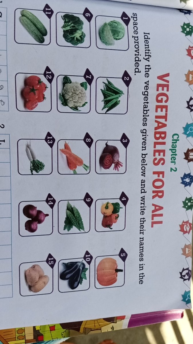 Identify the vegetables given below and write their names in the space pr..