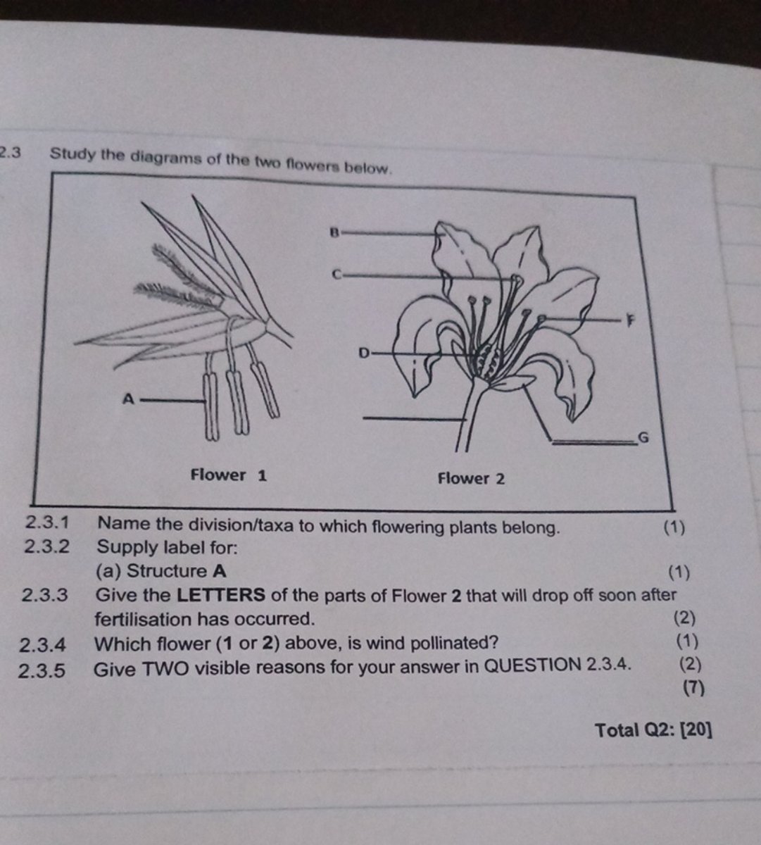 Study the diagrams of the two flowers below. Flower 1 (Diagram of a flow..